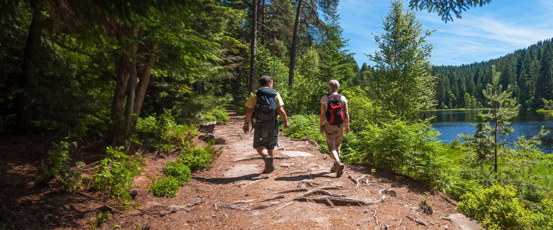 Possible outdoor activity risks and how to avoid them - BTA